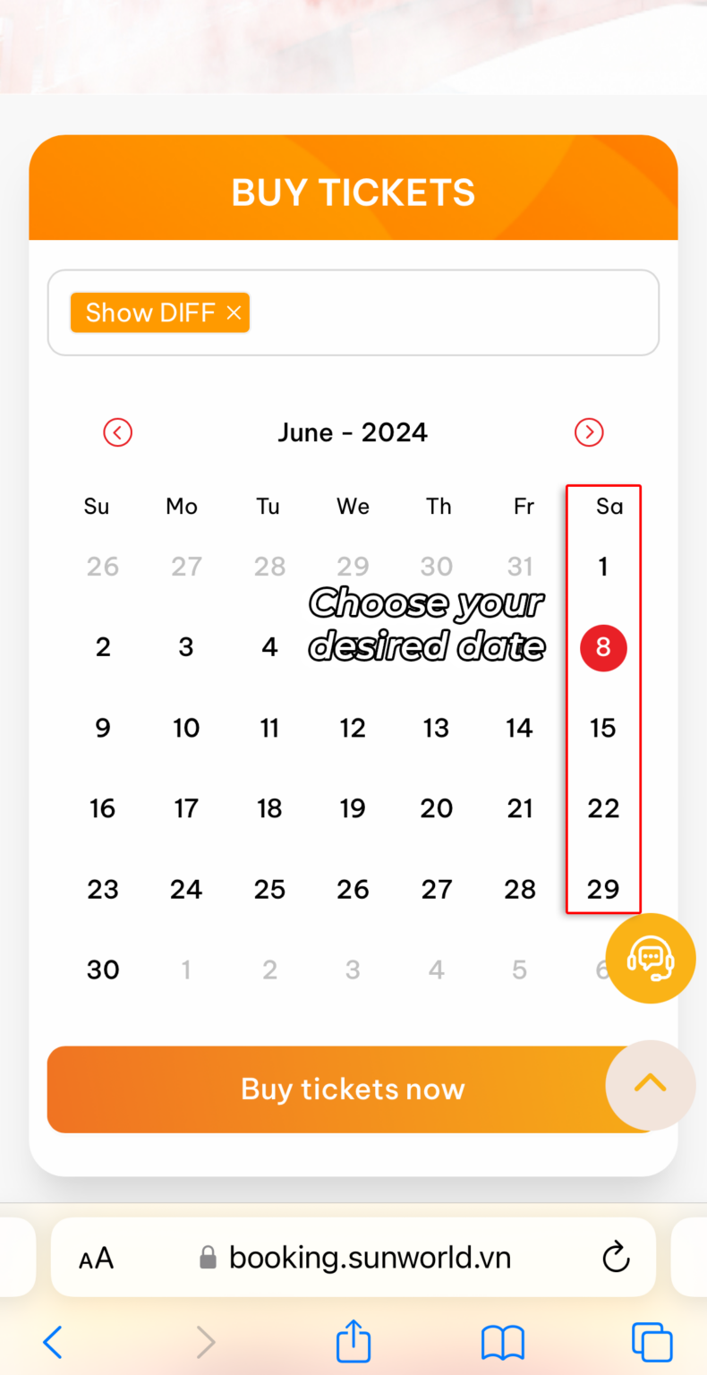 Detailed Guide to Purchasing DIFF 2024 Tickets – Diff 2025
